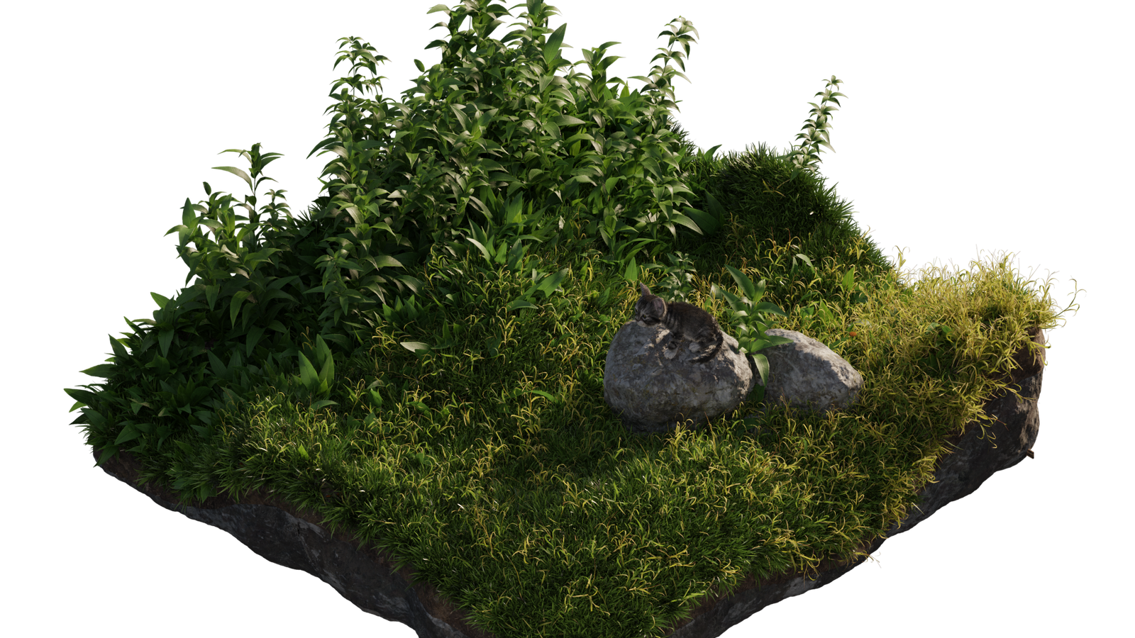 BlenderKit | Grass and particle systems drag & drop