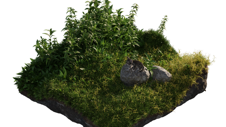 BlenderKit - Blenderkits' position on CC0 models uploaded by non ...