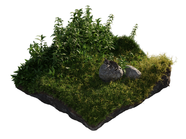 BlenderKit | Foliage by Iwo Pilc