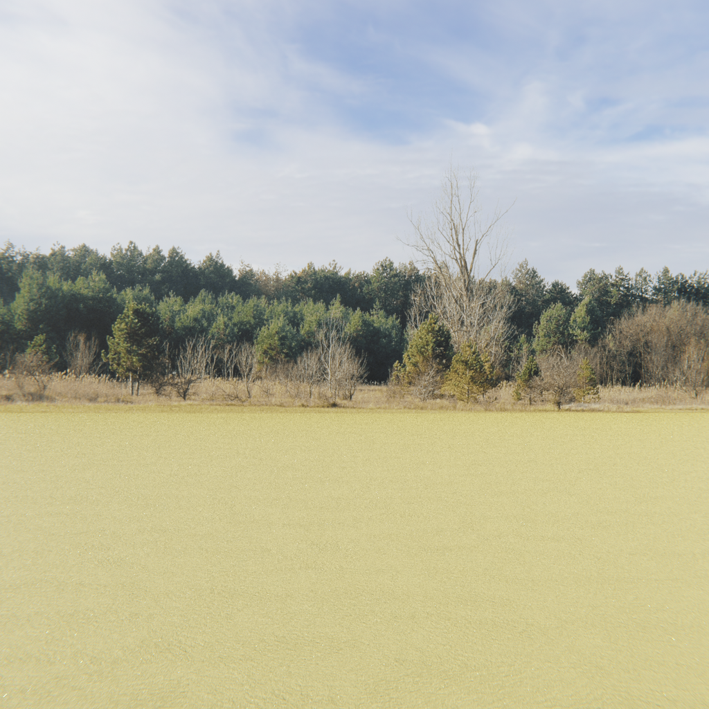 Evergreen Treeline Backdrop 001 | FREE Trees models | BlenderKit
