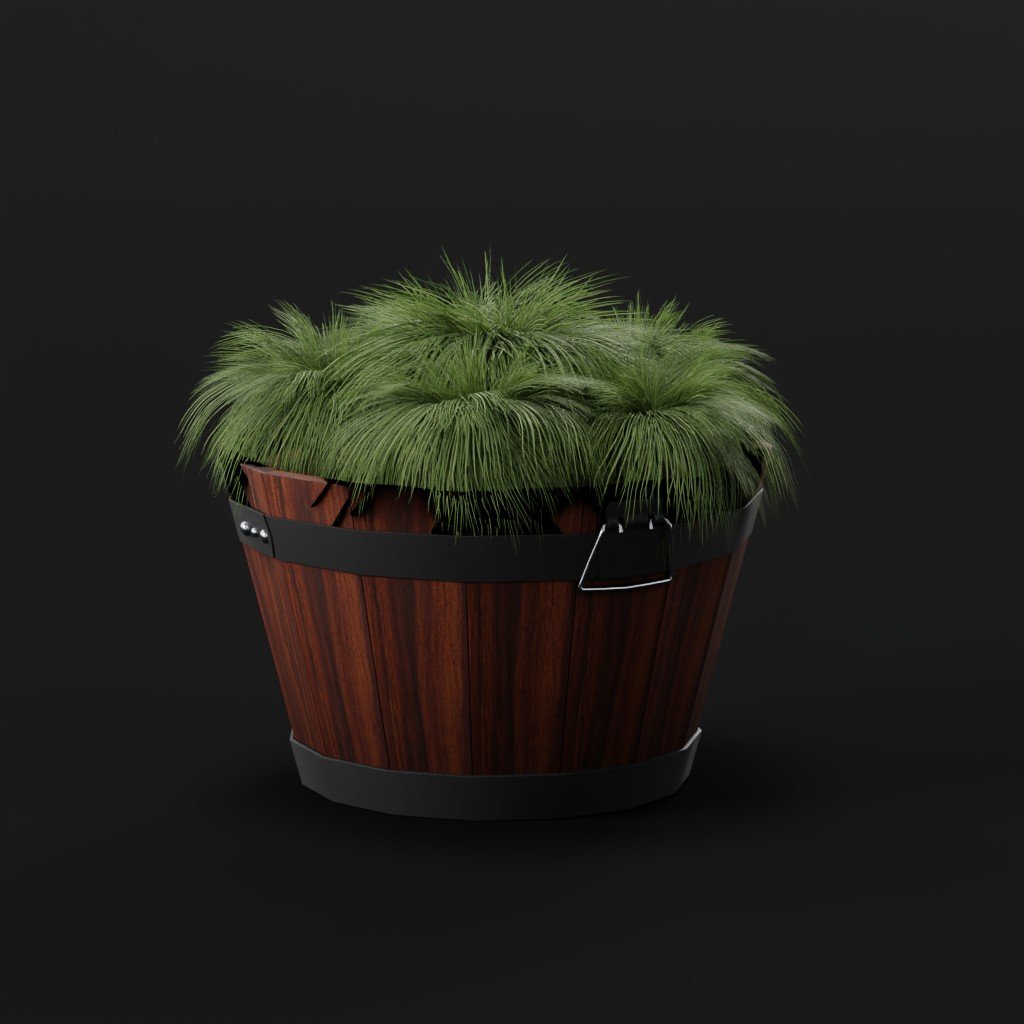 Fountain Grass Planter | Outdoor Plants models | BlenderKit