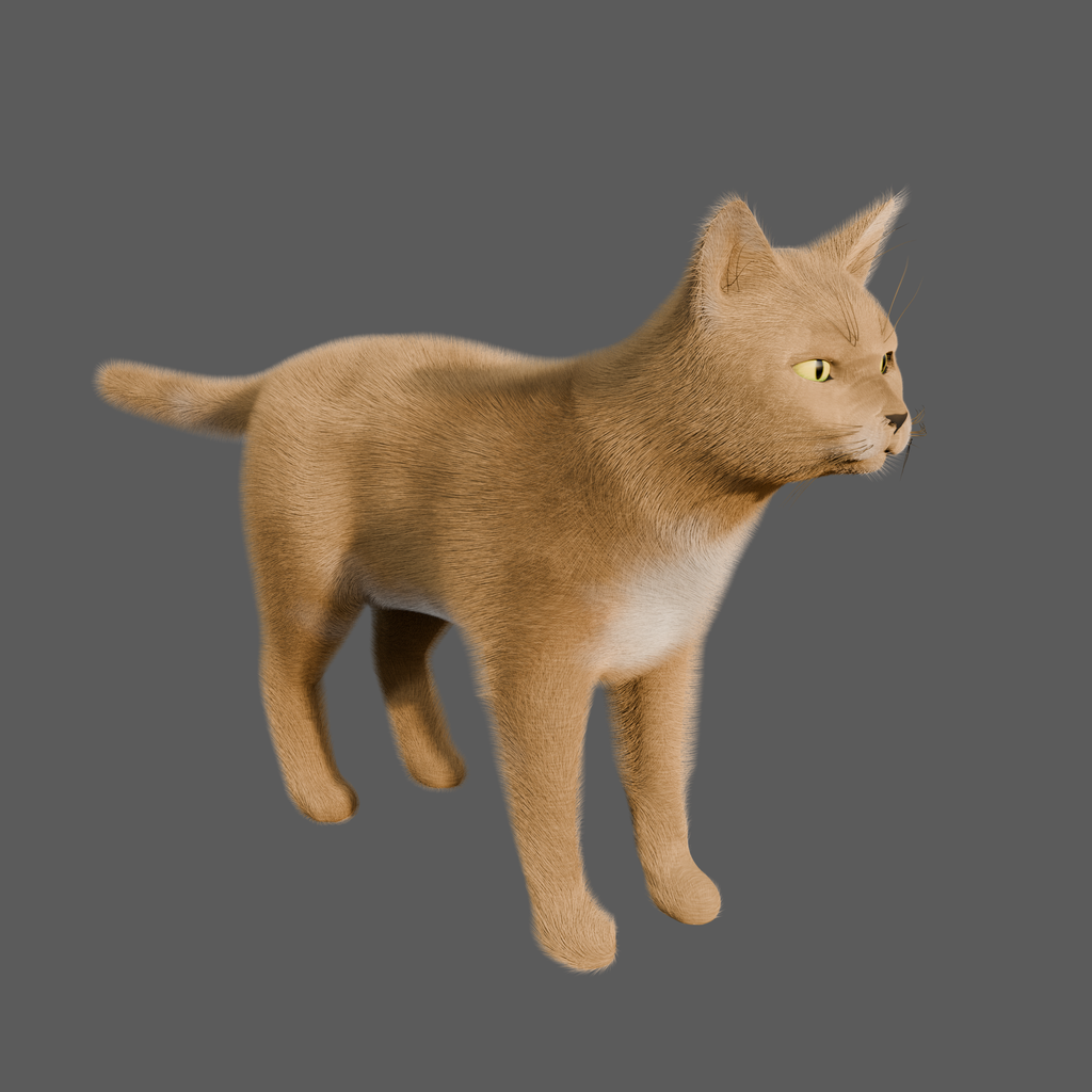 BlenderKit | Download the Cat model