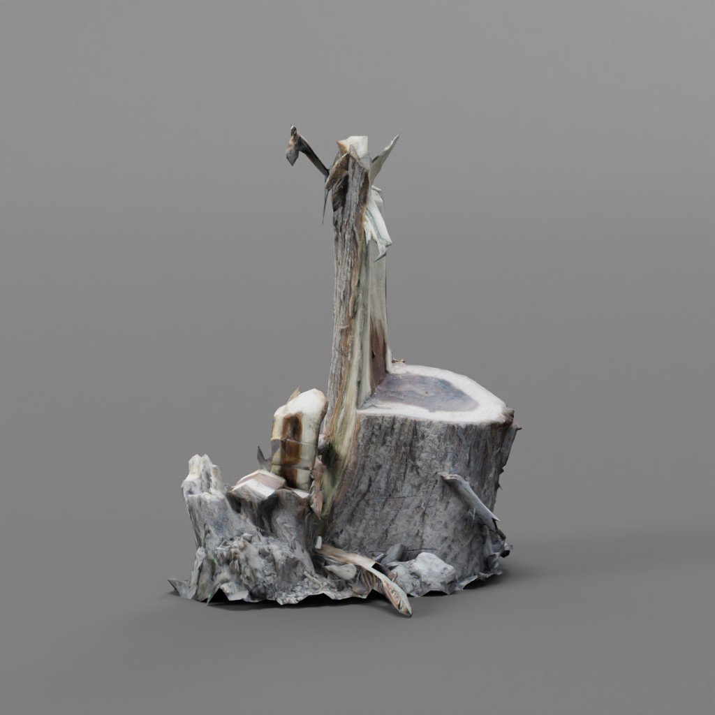 Cutted tree trunk | Trees models | BlenderKit