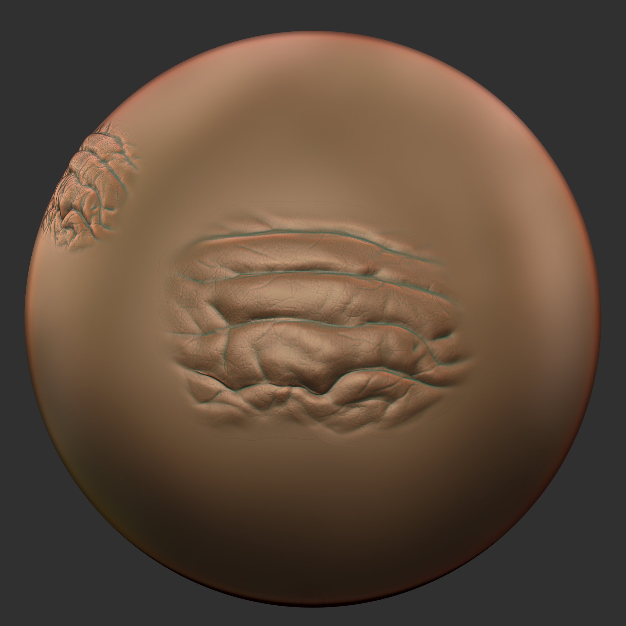 ER Human Skin(B) 08 | Human Skin brushes | BlenderKit