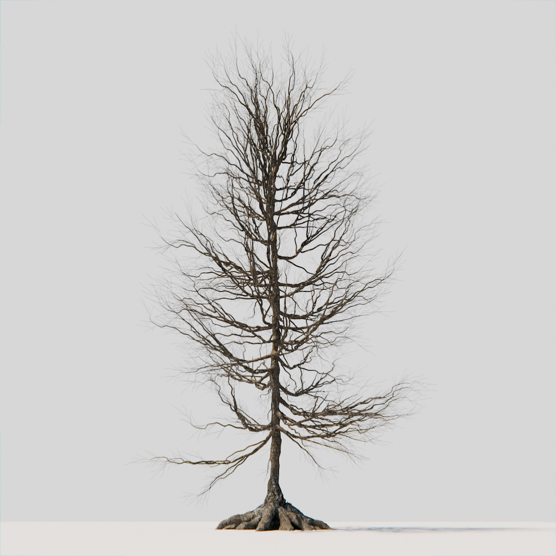 Dry Tree 07 | Trees models | BlenderKit