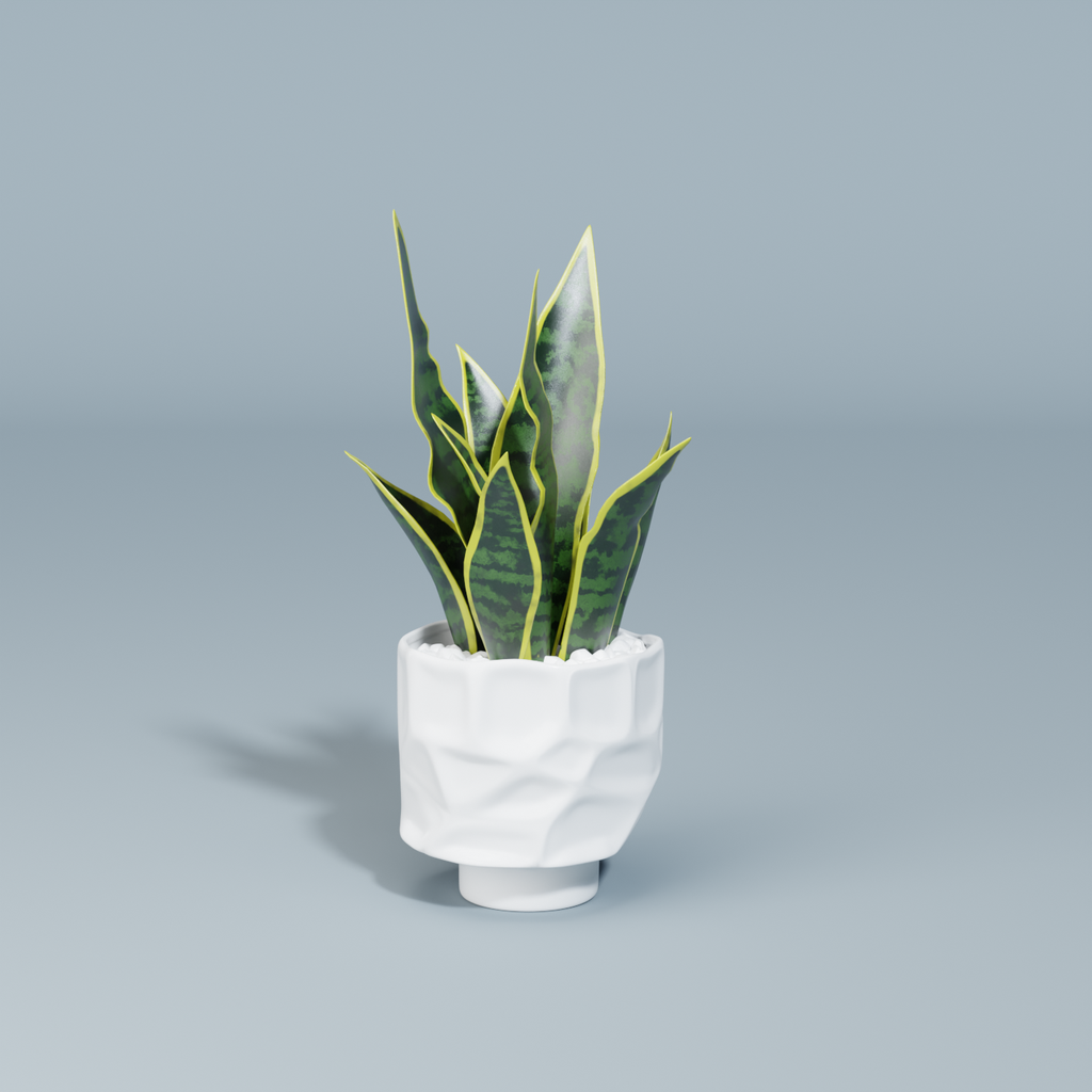 Snake plant | Indoor Plants models | BlenderKit