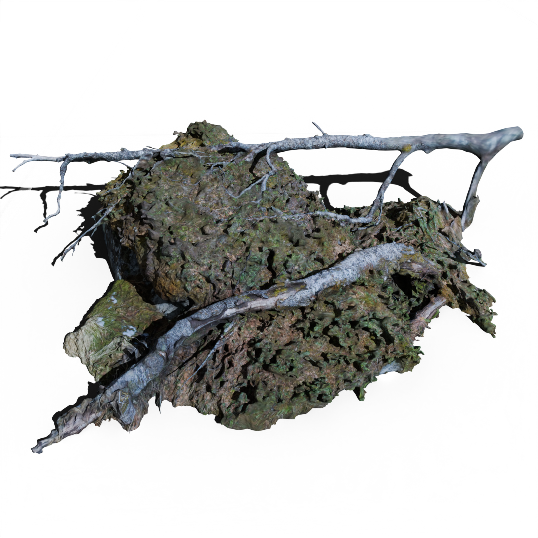 Forest Patch with Rock, Moss and Tree | Environment Elements models | BlenderKit