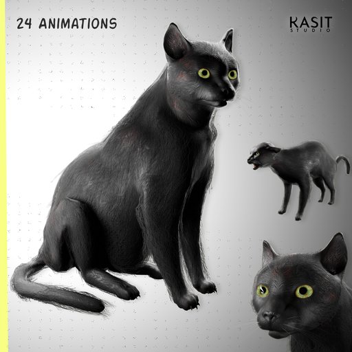 Black Cat Animated | Mammals models | Blendkit