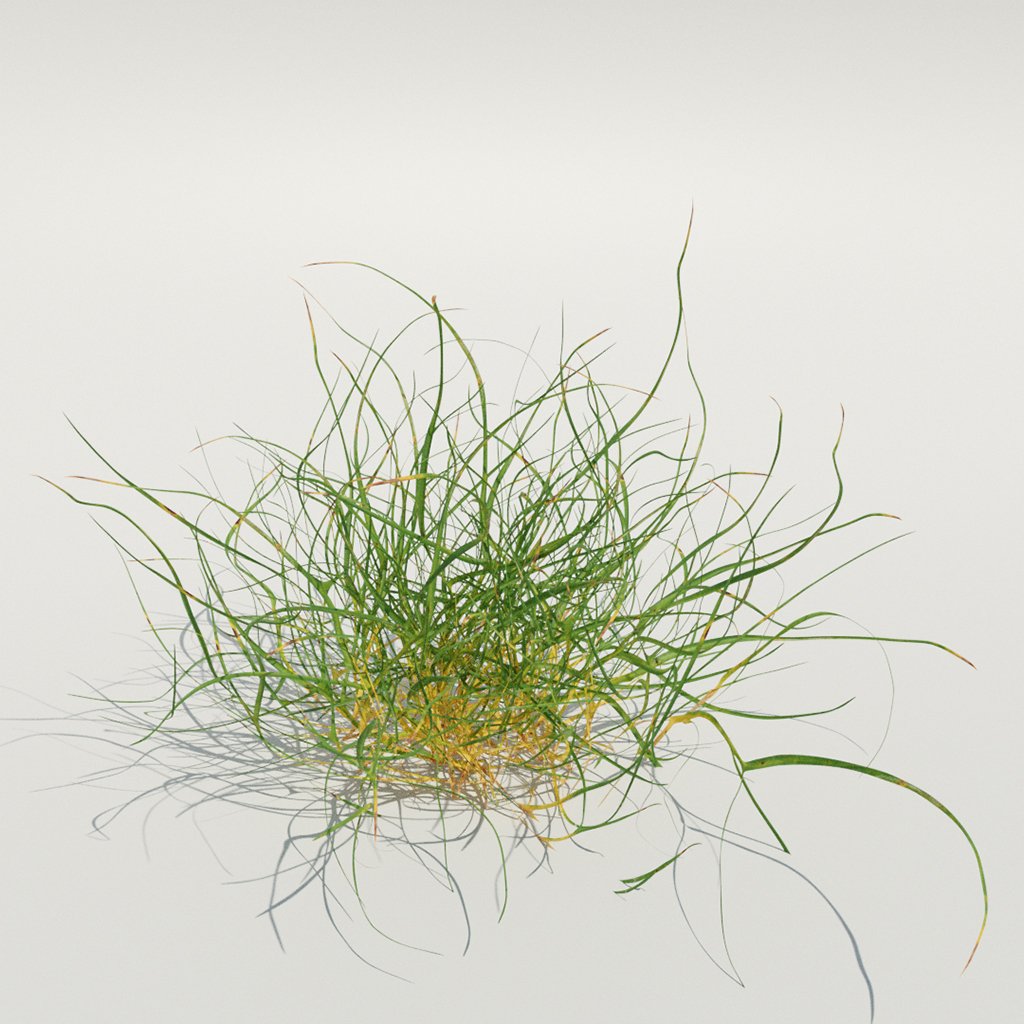 Grass strands big | Grass models | BlenderKit