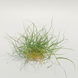 Grass strands big | Grass models | BlenderKit
