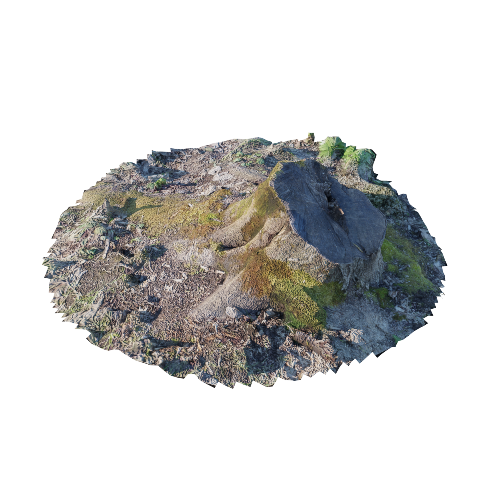 Stump 3 | Trees models | BlenderKit