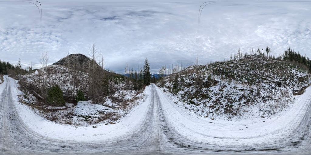 Winter Dirt Road Overcast | Nature HDRis | BlenderKit