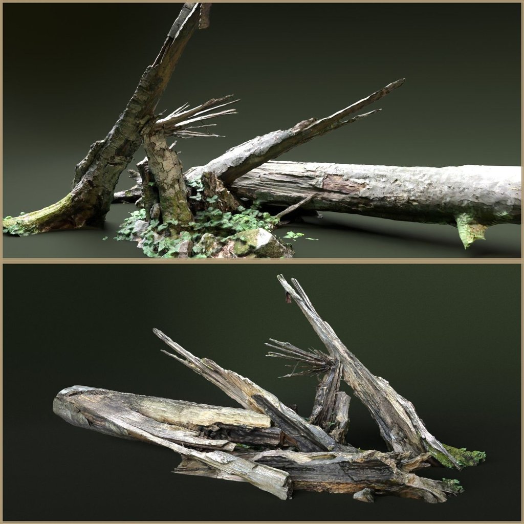 BlenderKit | Download the Old Broken down tree model