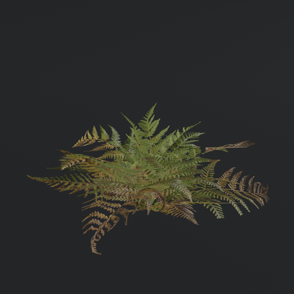 Small Fern a1 | Trees models | BlenderKit