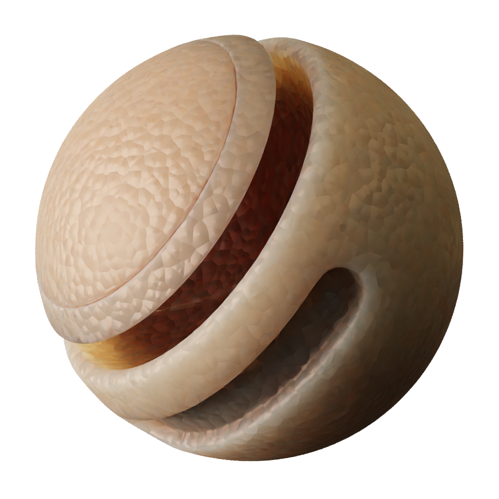 Human Skin Stylised | FREE human materials | BlenderKit