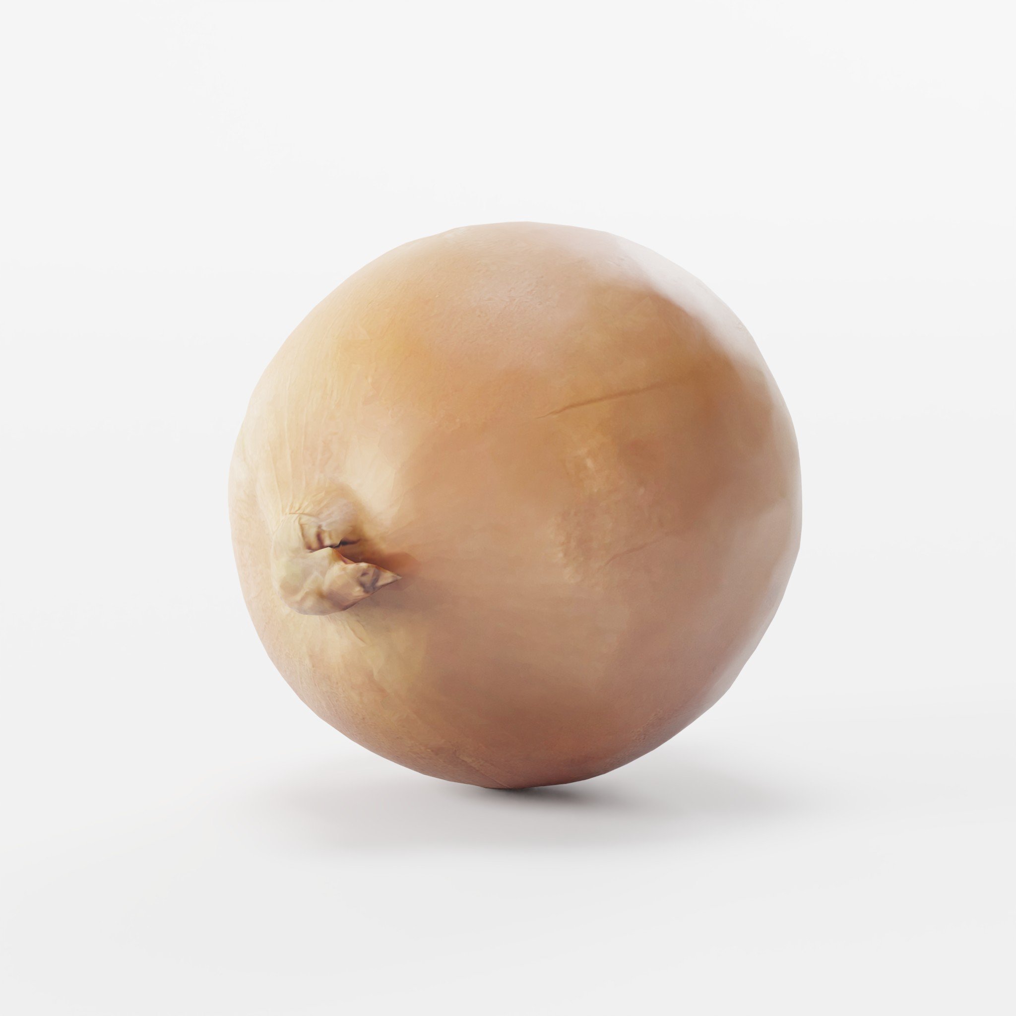 Scanned onion | Fruit & Vegetables models | BlenderKit