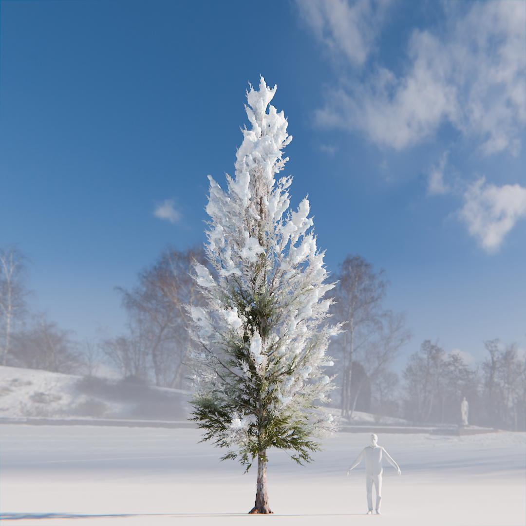 Pine tree with snow | Trees models | BlenderKit