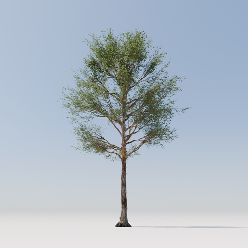 Tree 32 | Trees models | BlenderKit