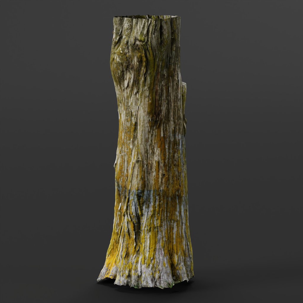 BlenderKit | Download the FREE Cedar Tree Trunk 03 model