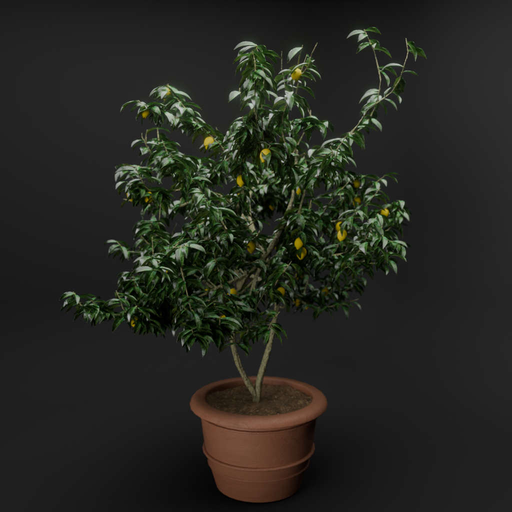 BlenderKit | Download the FREE Lemon bush/tree model