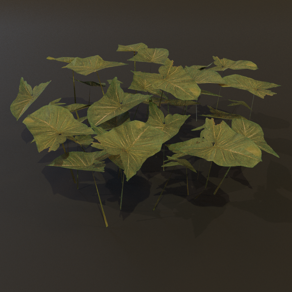 Ground Cover Broad Leaves Lrg | Outdoor Plants models | BlenderKit