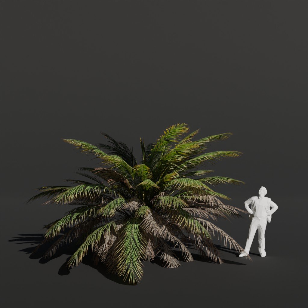 Palm Tree Small Dense | Trees models | BlenderKit