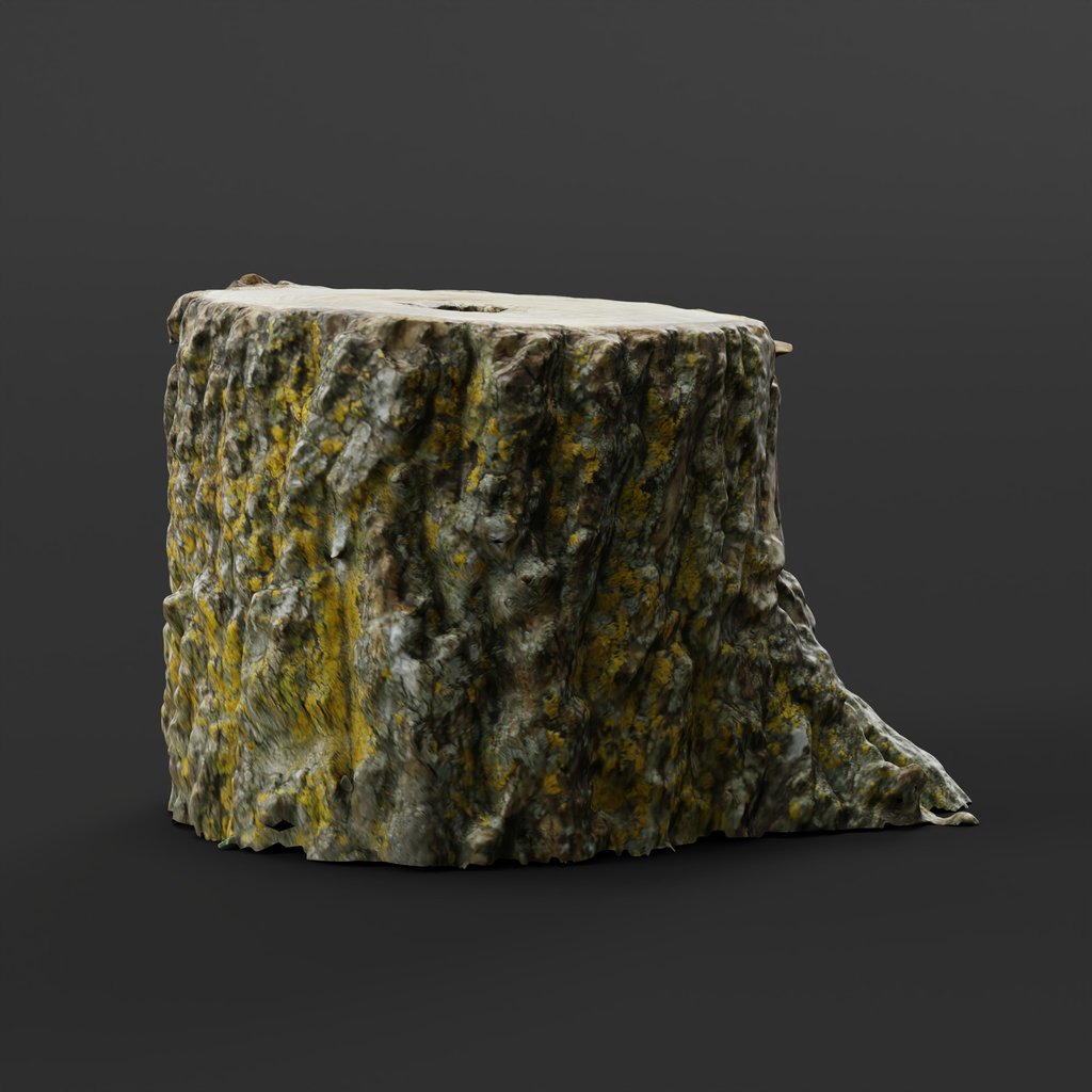 Cut log 03 - remeshed photoscan | FREE Trees models | BlenderKit
