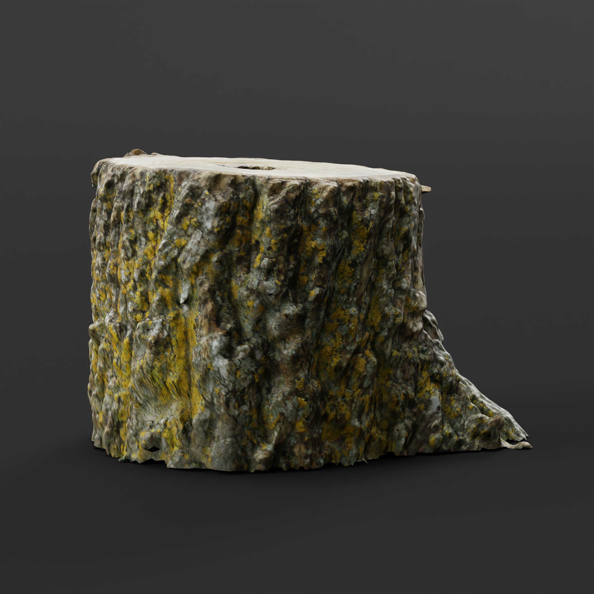 Cut log 03 - remeshed photoscan | FREE Trees models | BlenderKit