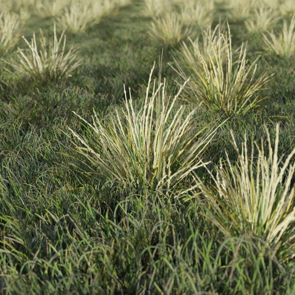 Grass Alpine Bunch Medium | Grass models | BlenderKit