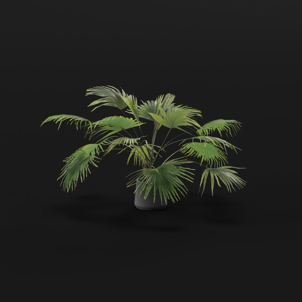 Fan Palm Med Potted | Indoor Plants models | BlenderKit