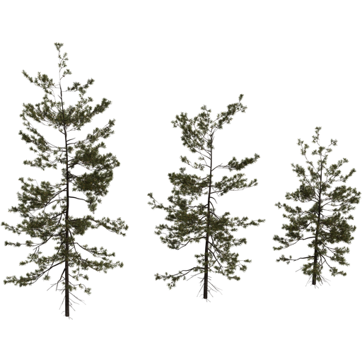 Cut log 04 - remeshed photoscan | FREE Trees models | BlenderKit