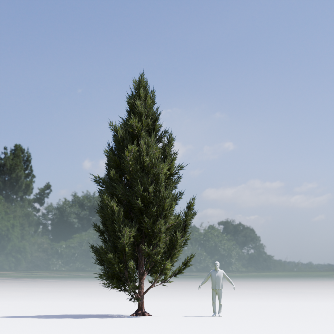 Pine Tree Low Poly variation | Trees models | BlenderKit