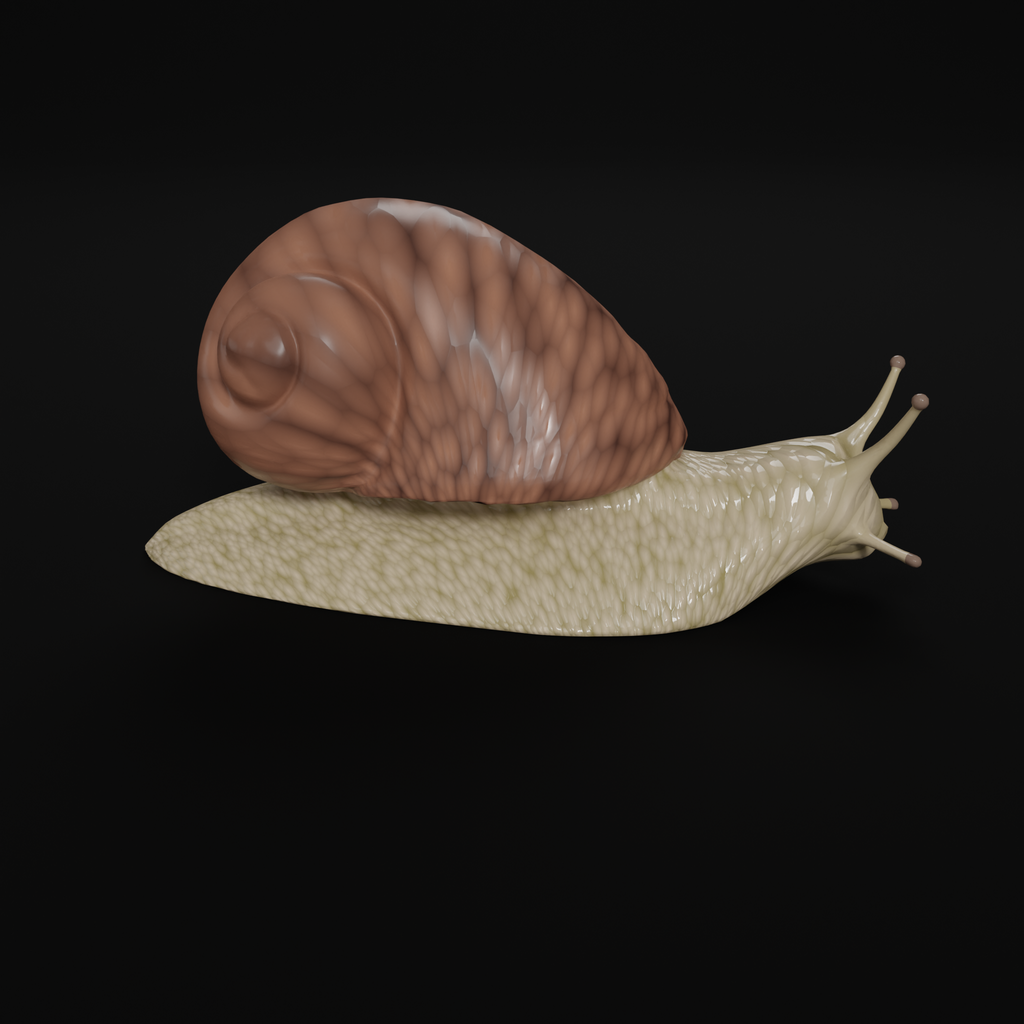Snail Rigged procedural | FREE Animals models | BlenderKit