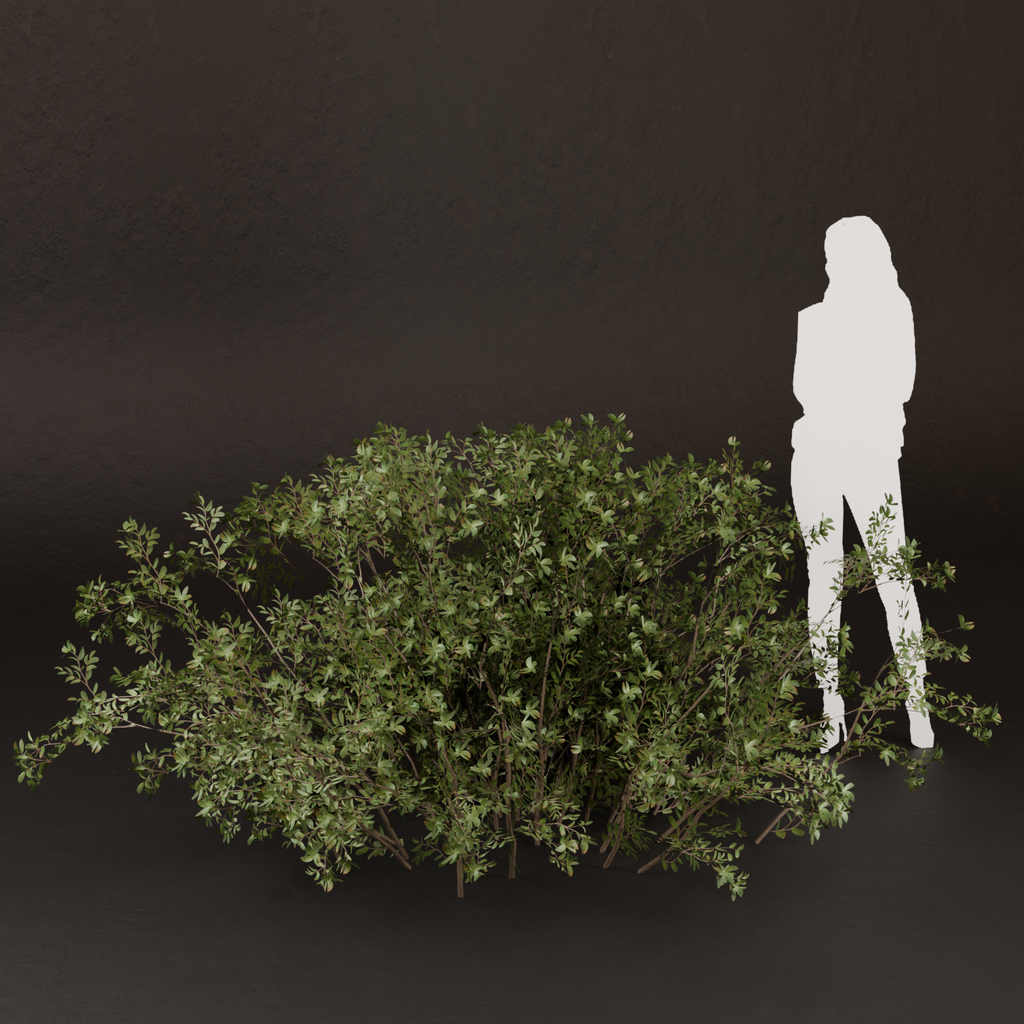 SJ-Wild Spring Meadow Bush | Outdoor Plants models | BlenderKit