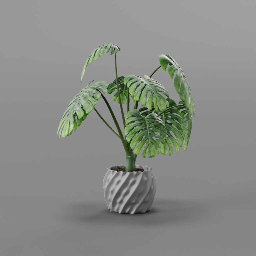 Plant | FREE Indoor Plants models | BlenderKit