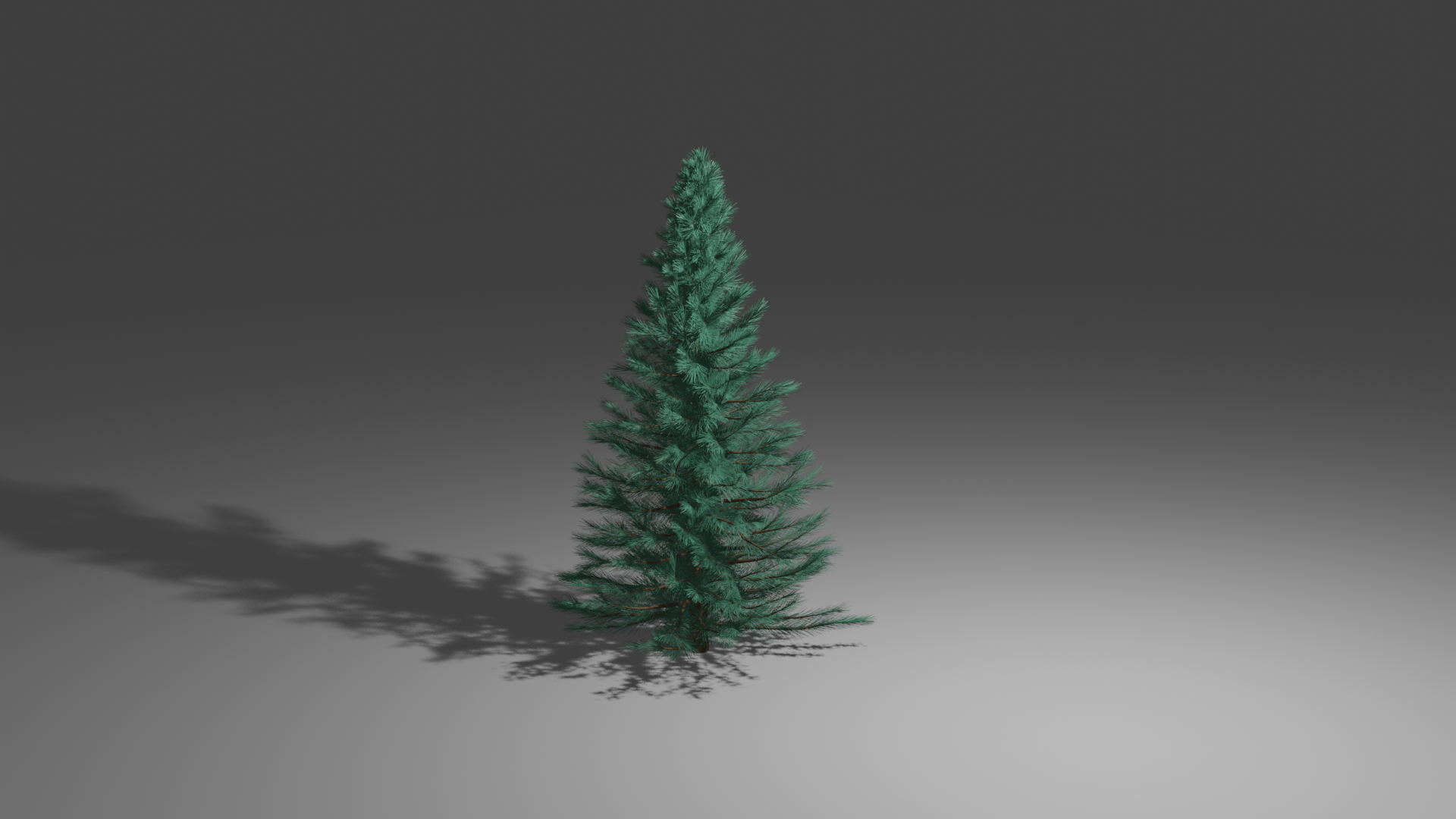 Spruce Tree | FREE Trees models | BlenderKit