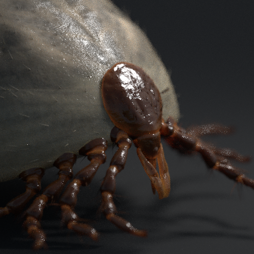 Ant (Rigged) | FREE Insects models | BlenderKit