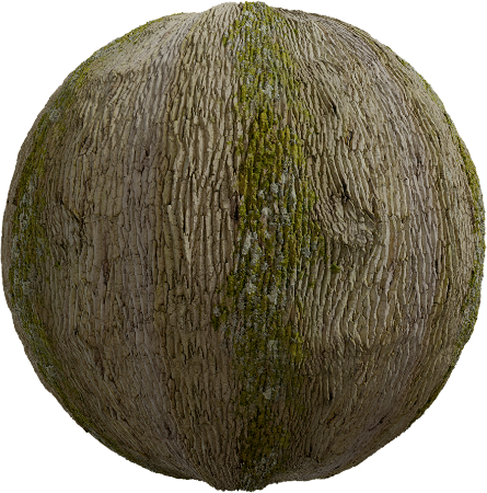 Tree Bark 03 | FREE wood materials | BlenderKit
