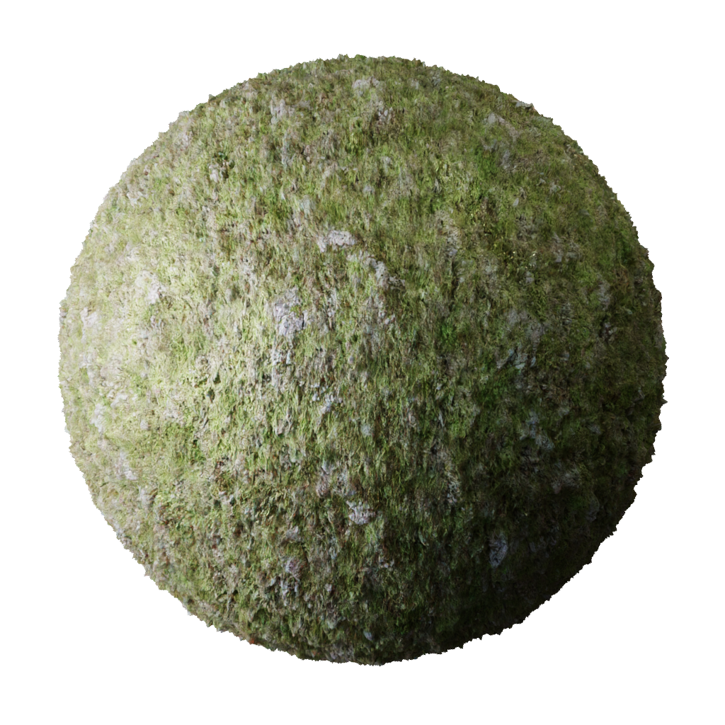 Tree Bark Moss | FREE organic materials | BlenderKit