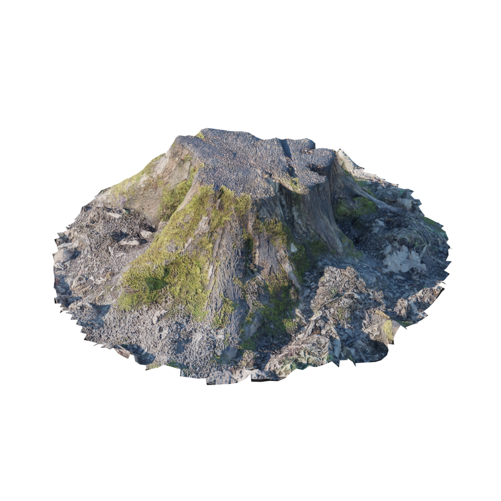 Stump | FREE Trees models | BlenderKit