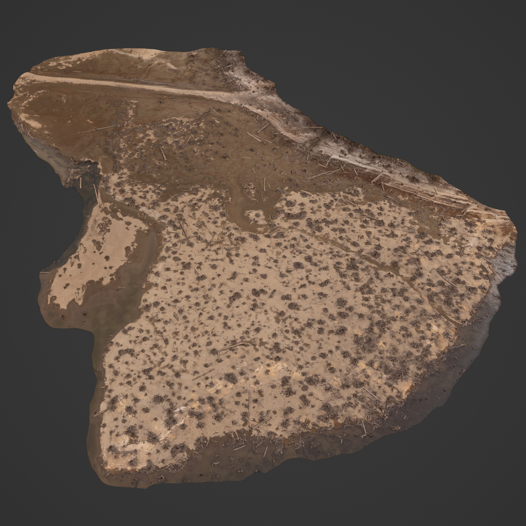 Dry Ground with Wood Photoscan | Terrains models | BlenderKit