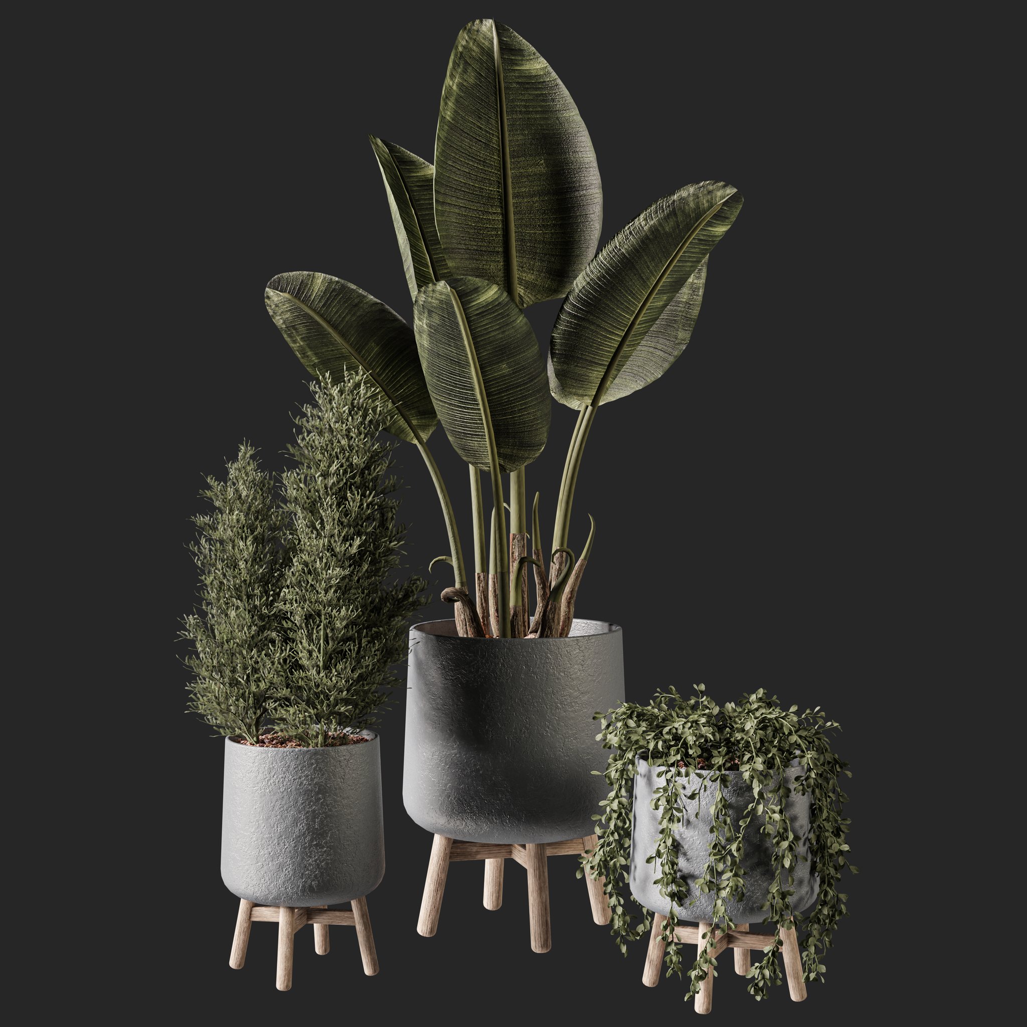Model: Plant set | Indoor Plants models | BlenderKit