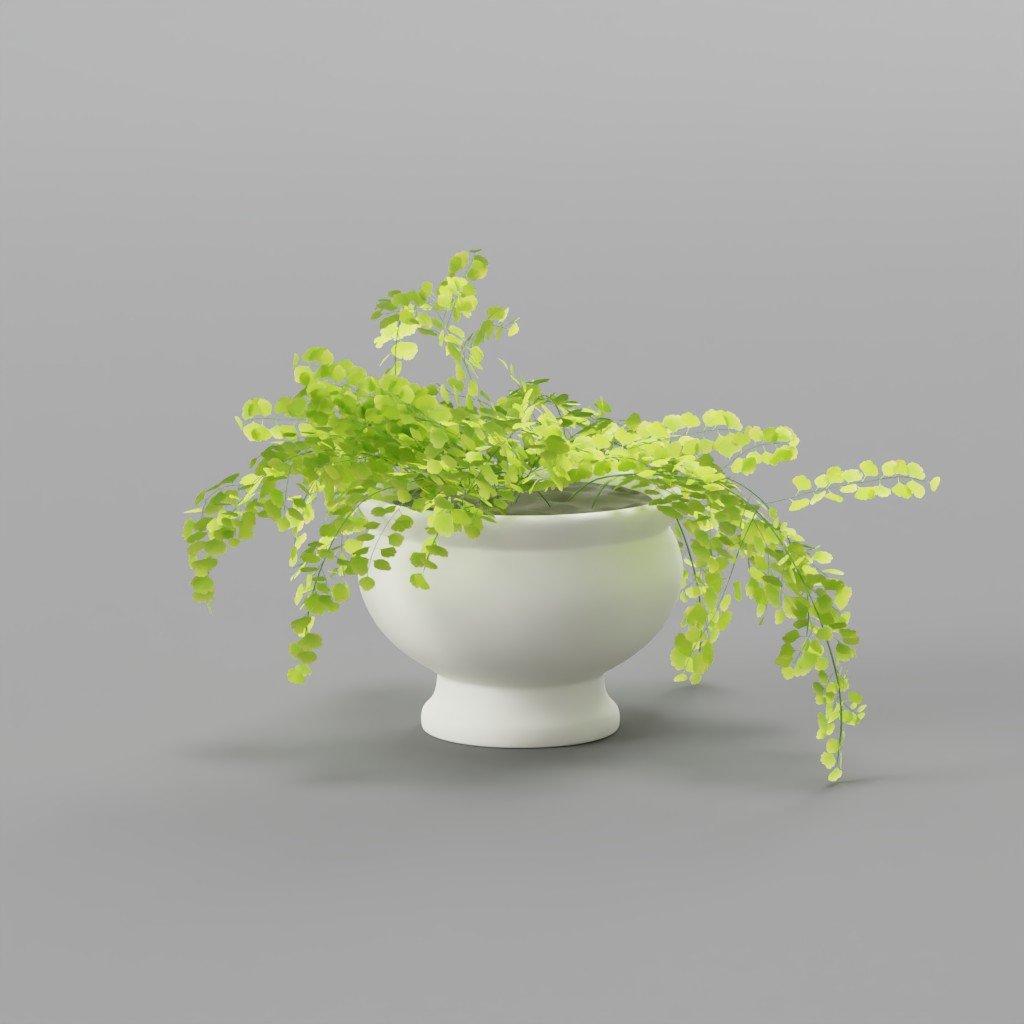 Decorative Indoor Plant | Indoor Plants models | BlenderKit