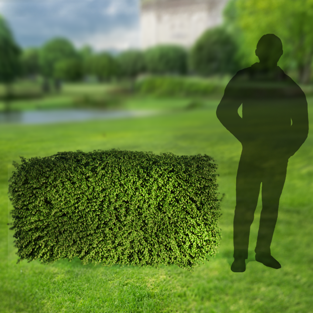 BlenderKit | Download the Bush model