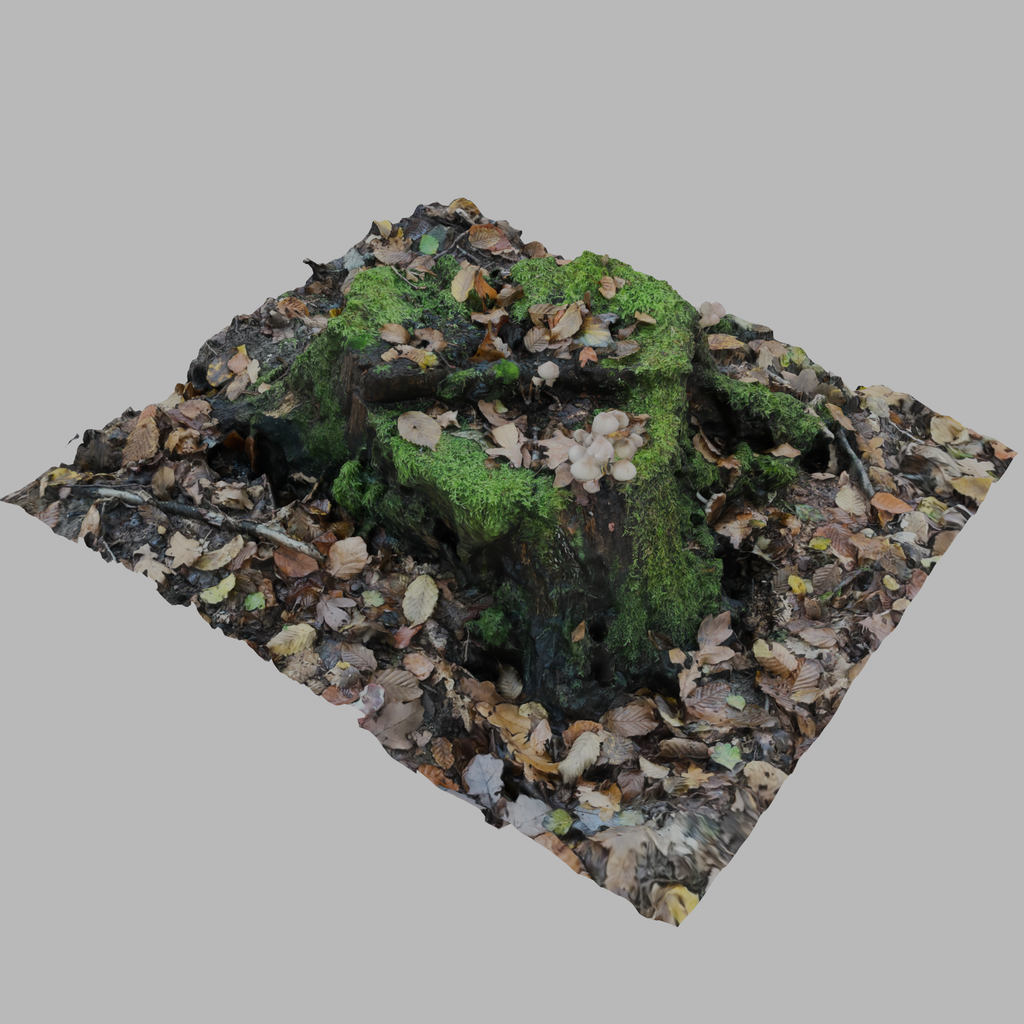 Mossy tree stump with mushrooms on top | Environment Elements models | BlenderKit