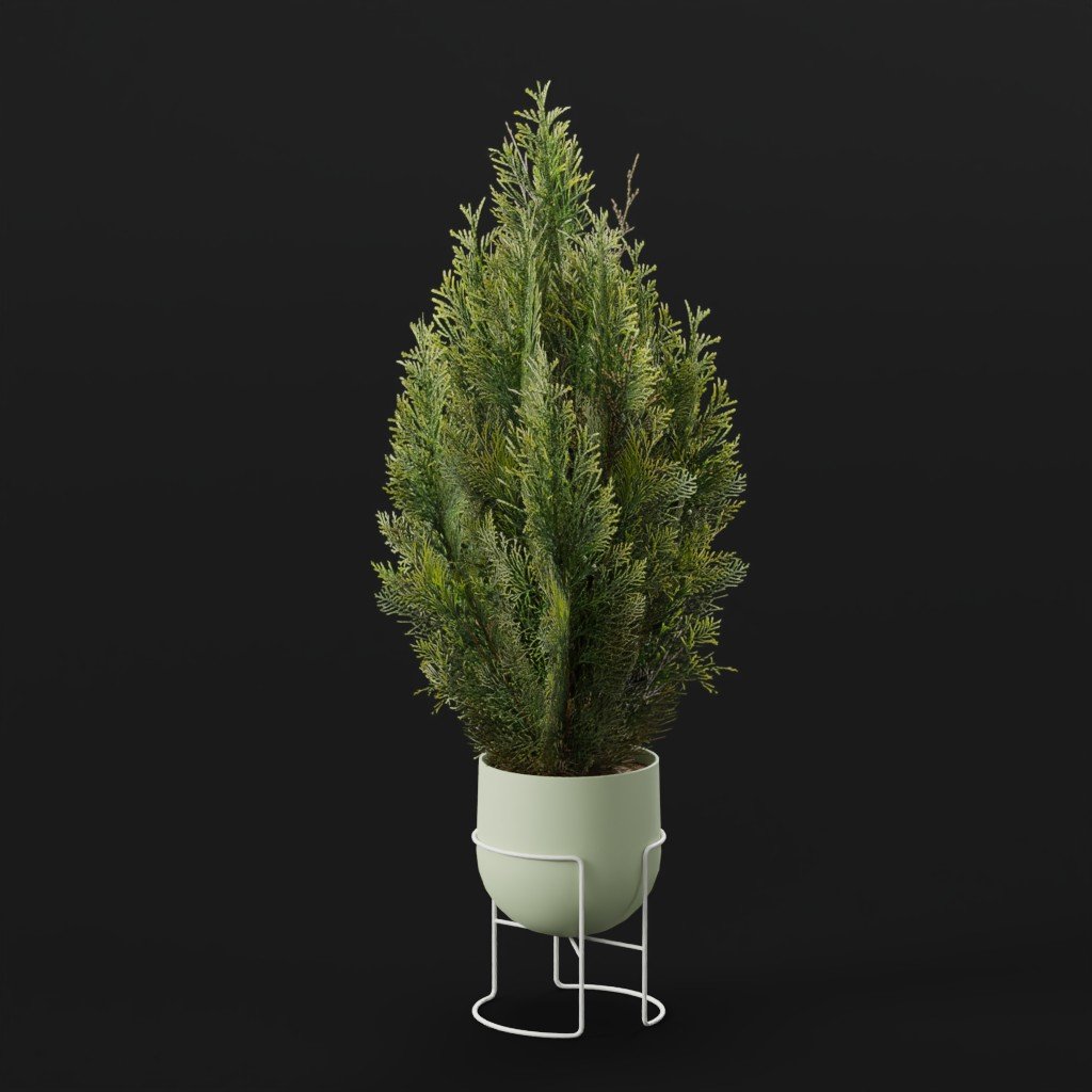 Red Cedar Bush Small Pot | Indoor Plants models | BlenderKit