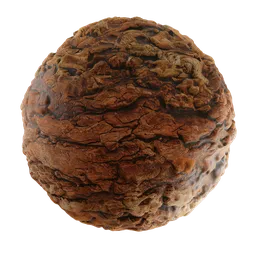 Coarse bark | FREE wood materials | BlenderKit