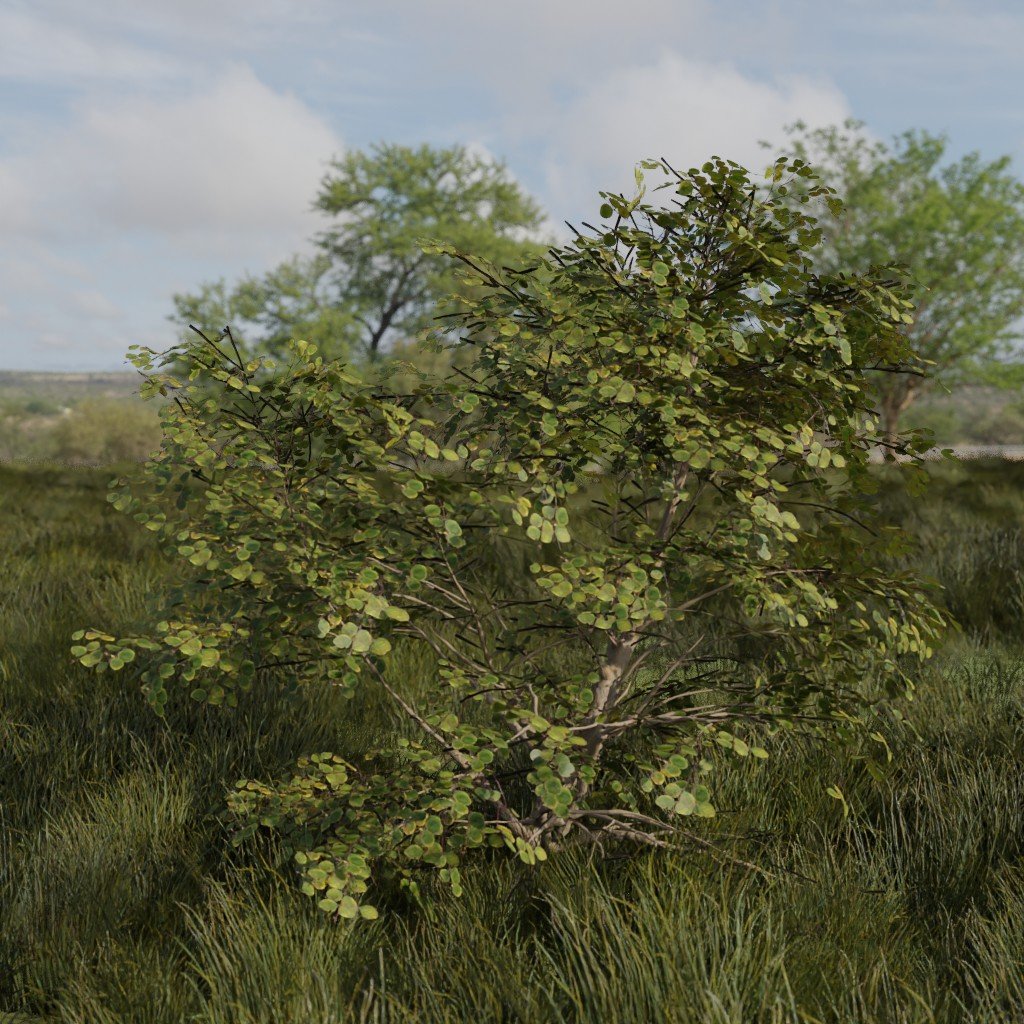 Broadleaf Dense Tree Large Broad | Trees models | BlenderKit