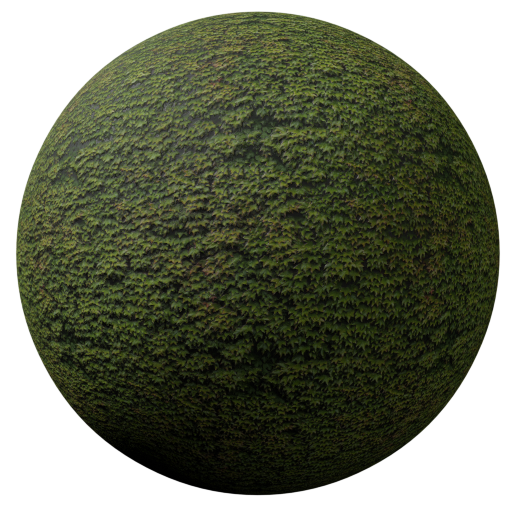 Leaves lush | FREE organic materials | BlenderKit