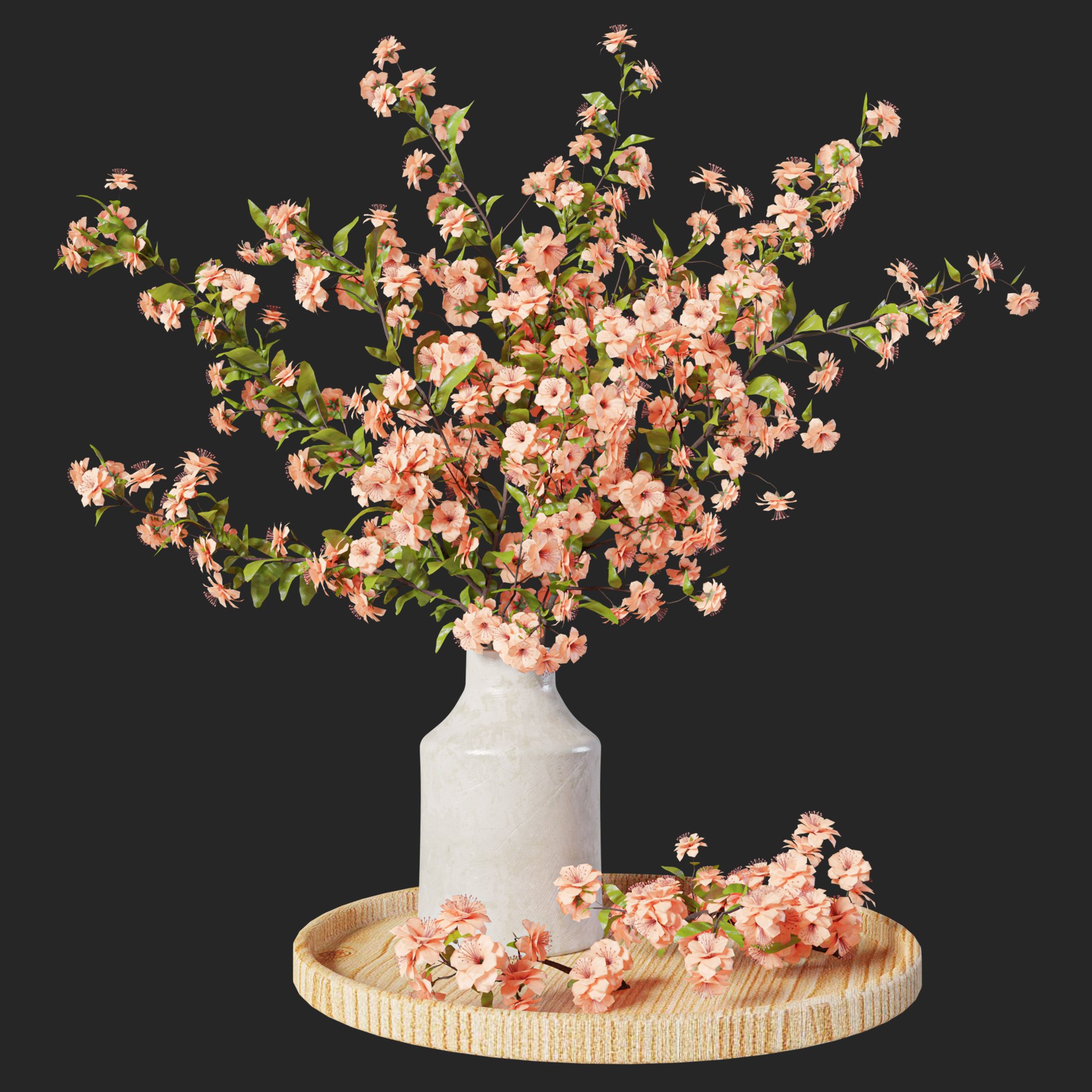 Plant | Indoor Plants models | BlenderKit